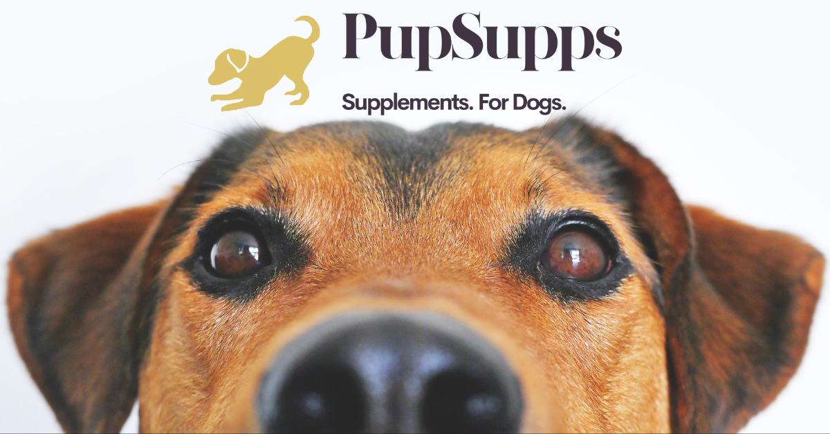 Premium Salmon Oil Supplements for Healthy, Happy Dogs | USA Made ...
